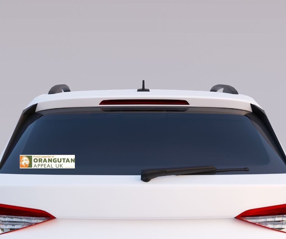 Charity car window sticker | Orangutan Appeal UK